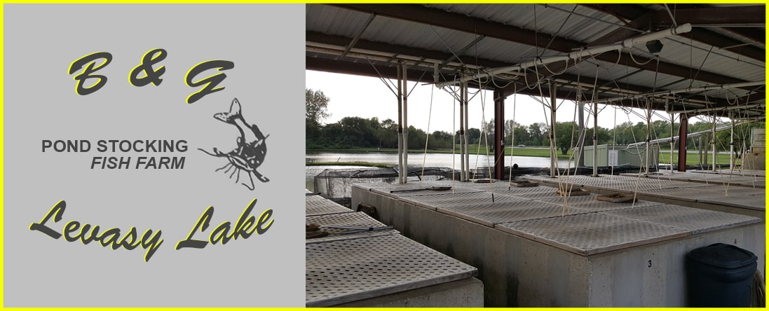B & G Levasy Lake & Pond Stock Offers a Fish Farm in Sibley, MO